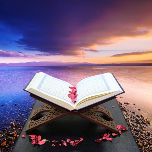 Les faits scientifiques miraculeux révélés dans le Coran | Qui est ...